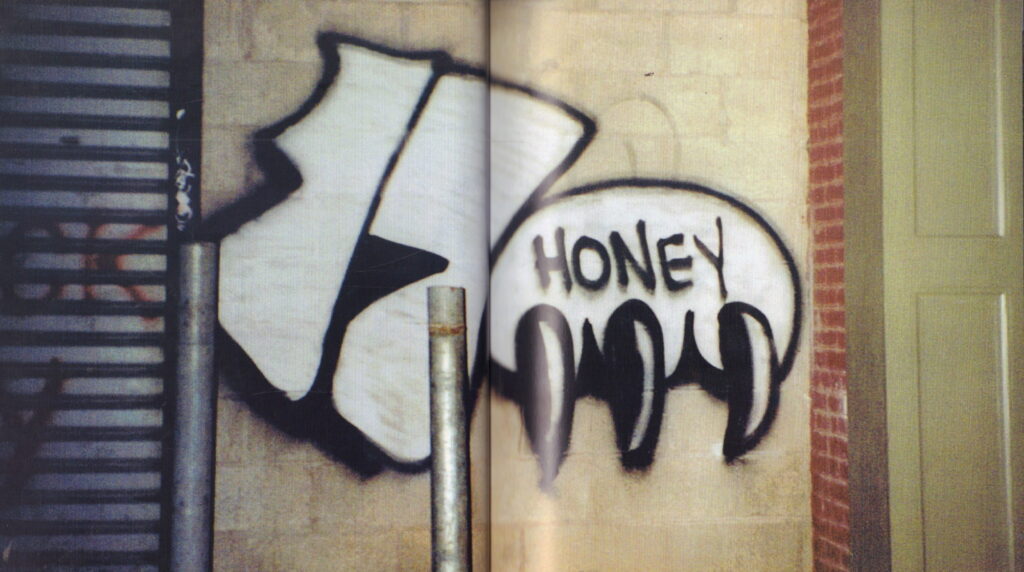 GANZ, Nicholas. Graffiti Women: Graffiti and Street Art from Five ...